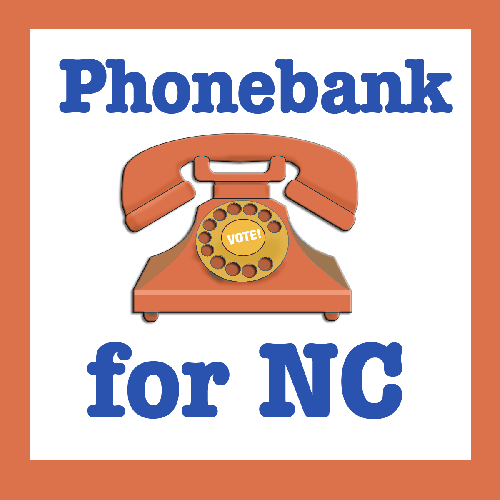 First Volunteer Bank Logo